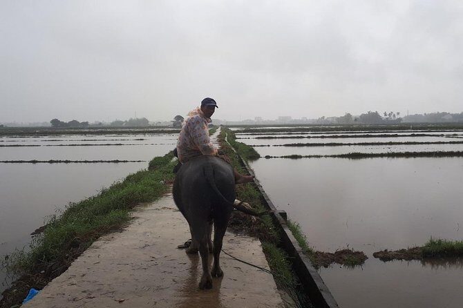 Hoian Full-Day Exploring, Handicraft Museum, Custom Suit Tailoring - Practical Details and What’s Included