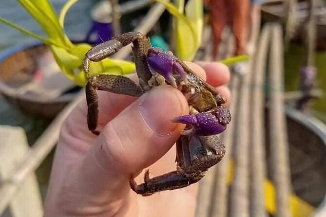 HoiAn Hand Fan/Lantern/Calligraphy/Bamboo Engrave Class-Boat Tour - An In-Depth Look at the Tour