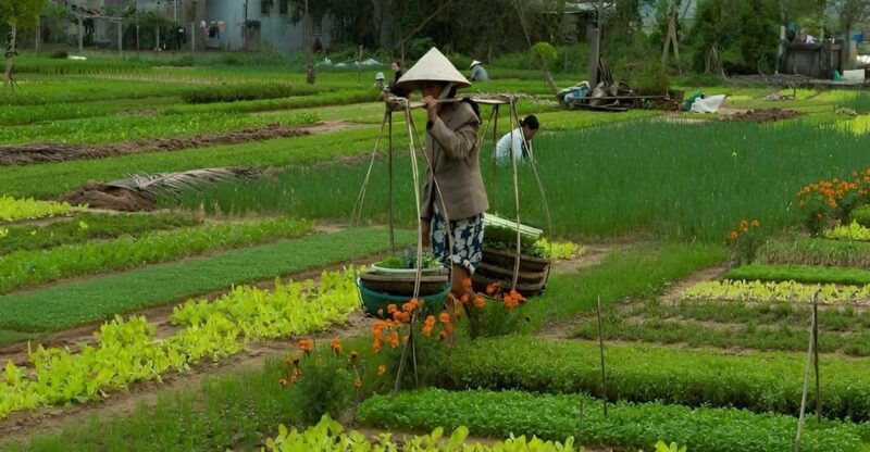 HOIAN: LANTERN MAKINGFARMER AT TRA QUE SMALL GROUP - Tra Que Vegetable Village: More Than Just a Farm