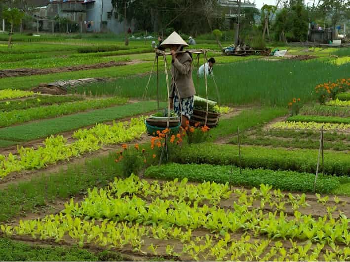 HOIAN: LANTERN MAKINGFARMER AT TRA QUE SMALL GROUP - Scenic Cycling and Cultural Discovery