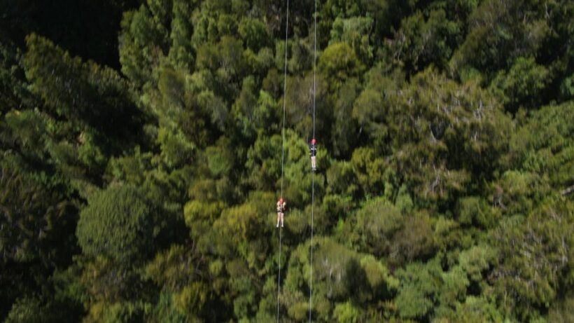 Hokitika: West Coast Tree Top Tower Zip Line and Walk - Hokitika: West Coast Tree Top Tower Zip Line and Walk