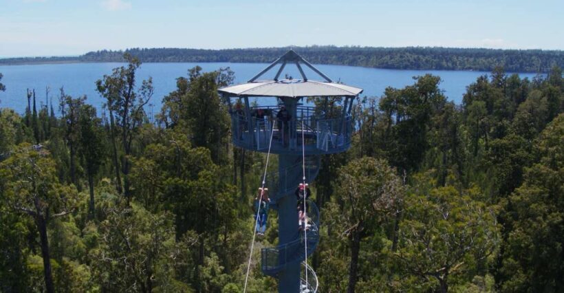 Hokitika: West Coast Tree Top Tower Zip Line and Walk - What’s Included and What’s Not