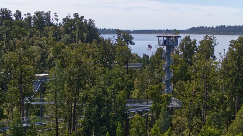 Hokitika: West Coast Tree Top Tower Zip Line and Walk - Practical Tips and Considerations