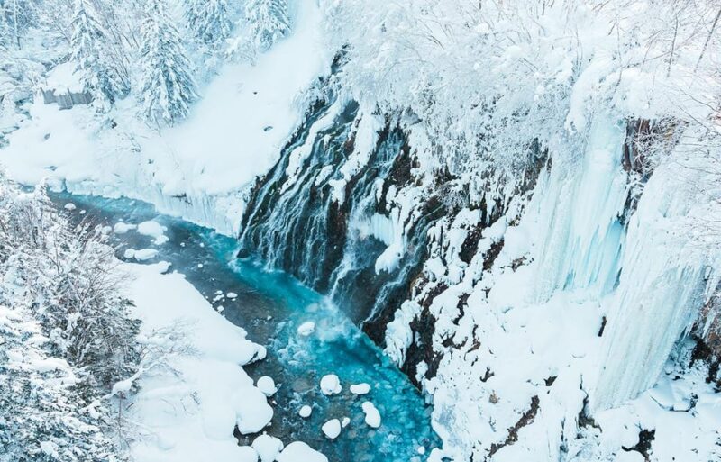 Hokkaido 1-Day Trip: Asahiyama Zoo, Biei and Ningle Terrace - Transportation and Amenities