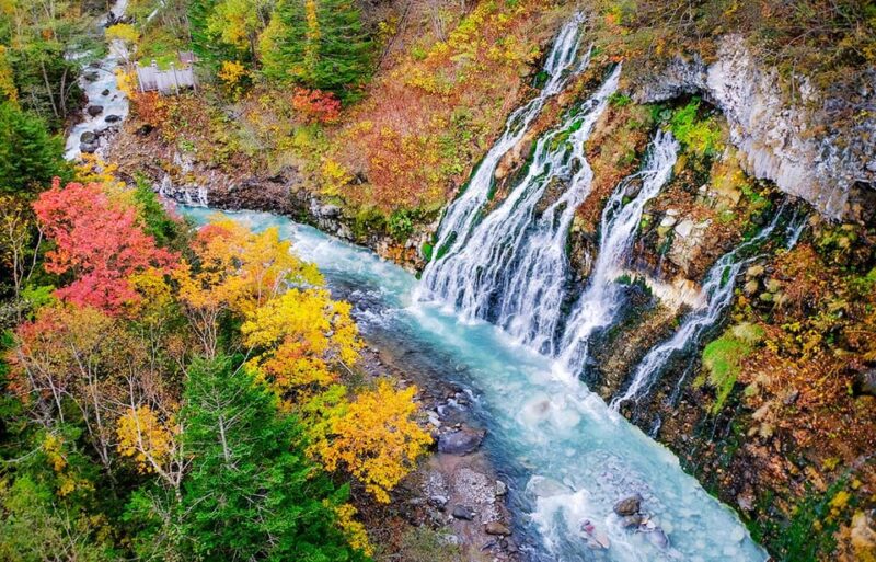 Hokkaido 1-Day Trip: Asahiyama Zoo, Biei and Ningle Terrace - Booking and Cancellation Policy