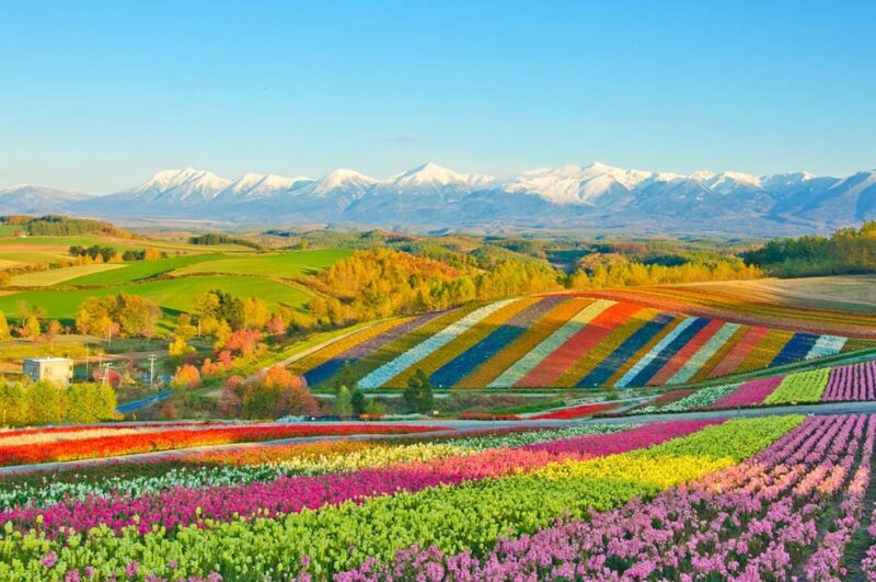 Hokkaido: Asahiyama Zoo, Biei, Ningle Terrace Full-Day Tour - Shirahige Falls