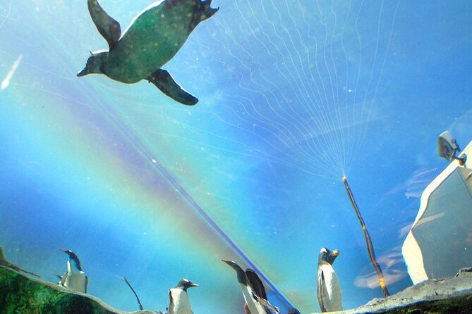 Hokkaido Asahiyama Zoo, Furano and Biei Bus Tour - FAQ