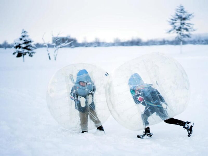 Hokkaido: Bibai Snow Land Gold Plan With Lunch & Snowmobile - Customer Feedback and Ratings