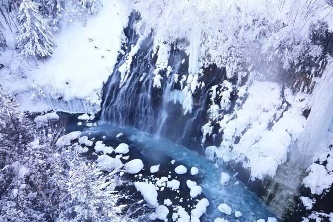 Hokkaido Day Tour From Sapporo: Asahiyama Zoo, Blue Pond Japan - Itinerary and Conditions