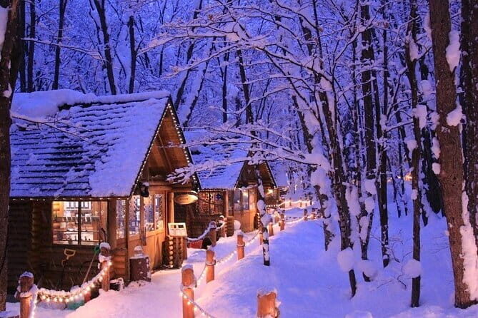 Hokkaido Day Trip From Sapporo: Asahiyama Zoo to Ningle Terrace - FAQs