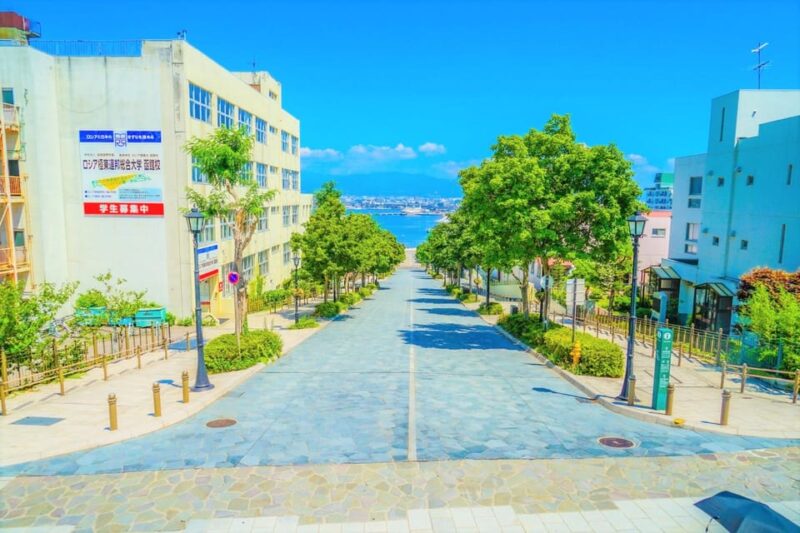 Hokkaido Hakodate 2D1N Cherry Blossoms Bus Tour From Sapporo - Included Services