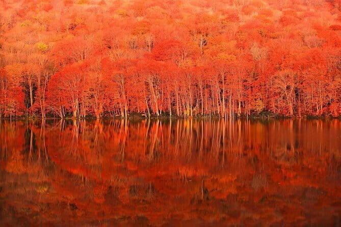 Hokkaido Jozankei Hoheikyo Dam Autumn Leaves Day Trip - Practical Tips for Travelers