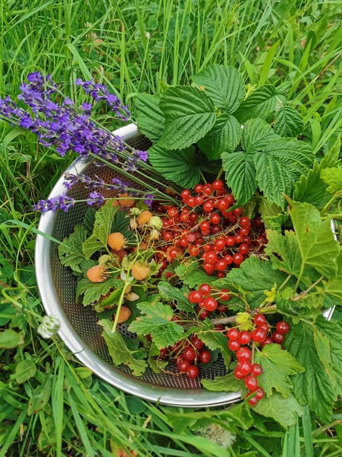 Hokkaido Nature and Gourmet Experience (near Lake Toya) - Unique Aspects