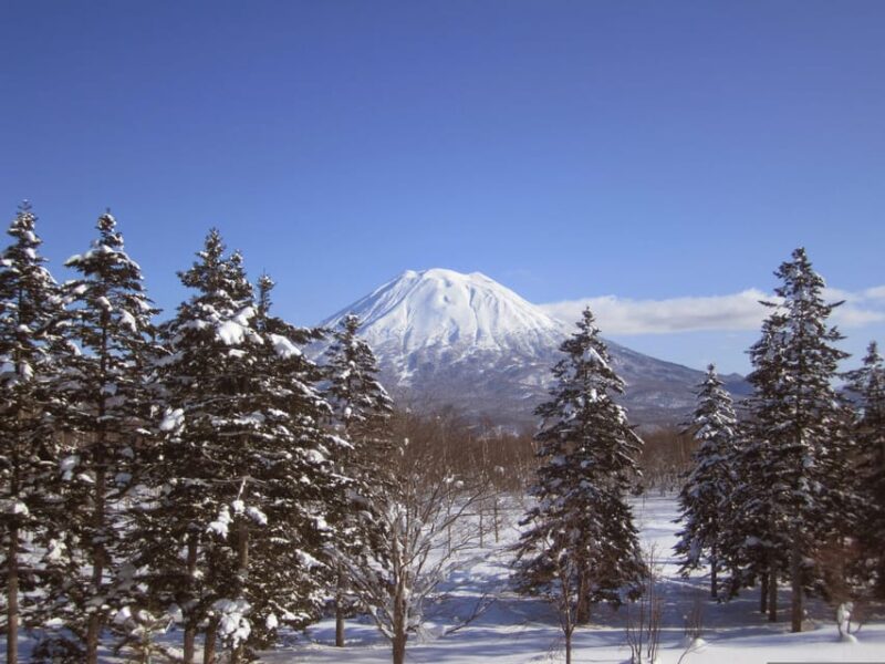 Hokkaido Niseko Ski Day Tour - Exploring Hirafu Ski Resort