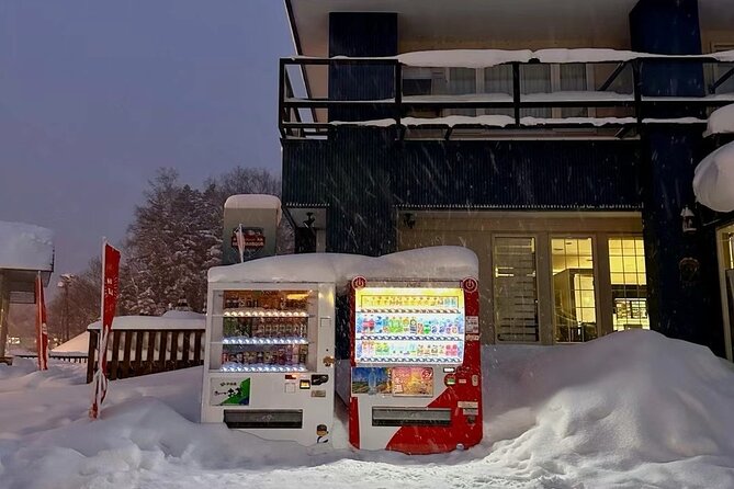 Hokkaido Otaru Private Full Day Tour (Depart From Sapporo) - Exploring Otaru