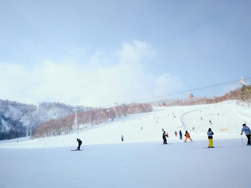 Hokkaido Ski Full-Day Tour: Sapporo International Ski Resort - Skiing Experience