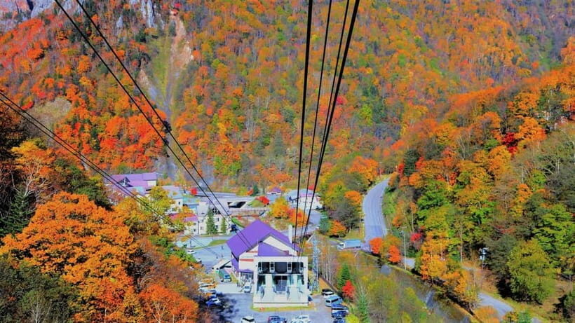 HokkaidoKurodake Ropeway, Asahiyama Zoo Autumn Leaves Tour - Key Points