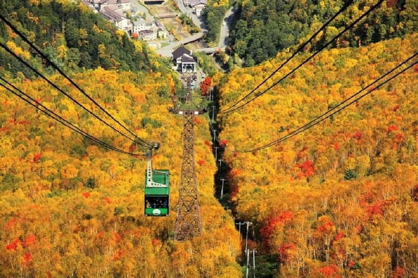 HokkaidoKurodake Ropeway, Asahiyama Zoo Autumn Leaves Tour - Practical Details & Considerations