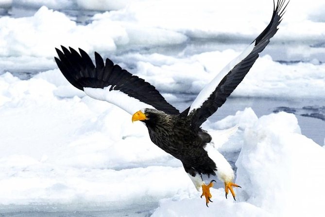 Hokkaidos Winter Awe-inspiring Drift Ice & Sounkyo Ice Sculpture! - Itinerary and Meeting Points