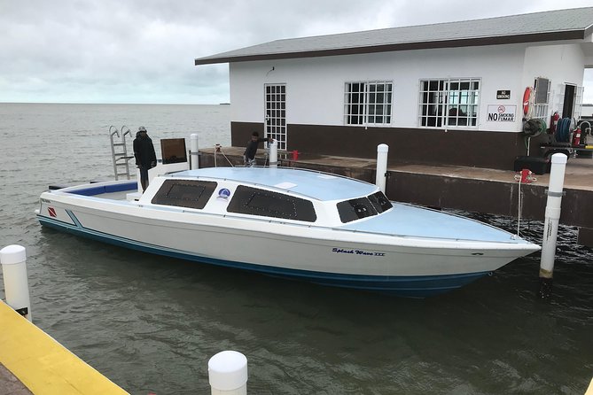 Hol Chan Marine Park and Shark Ray Alley Snorkeling - Meeting Point and Pickup