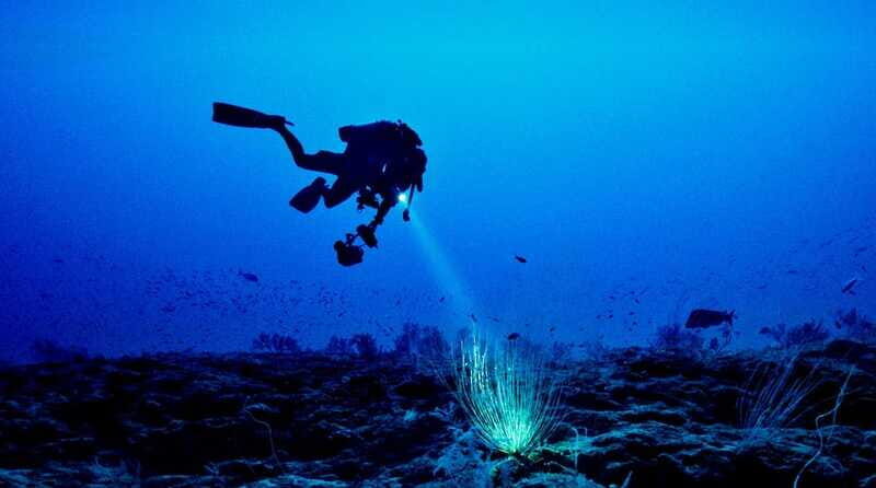 Hol Chan Marine Park night dive - FAQs: Your Questions About the Hol Chan Marine Park Night Dive