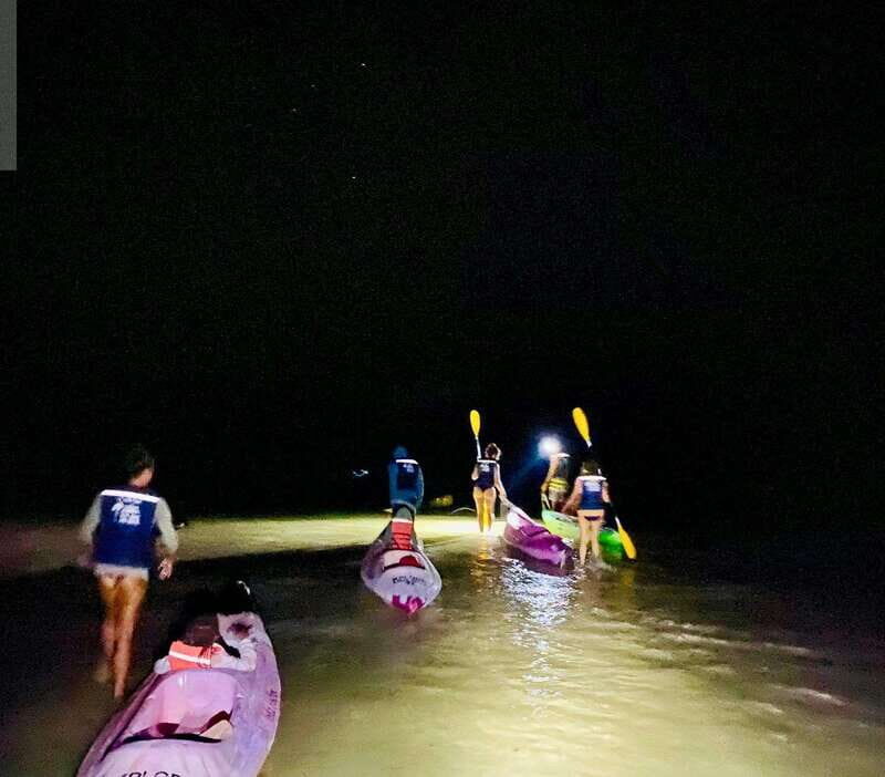 Holbox: Bioluminescence by Kayak and Stargazing. - Detailed Itinerary Breakdown