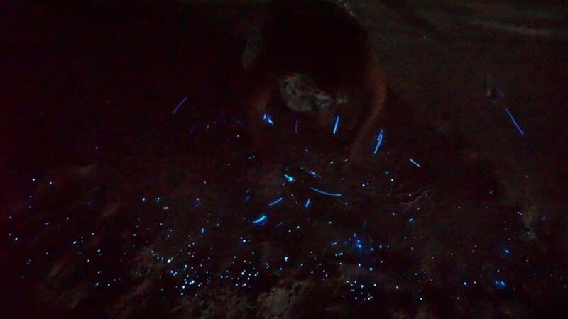 Holbox: Bioluminescence by Kayak and Stargazing. - Final Thoughts