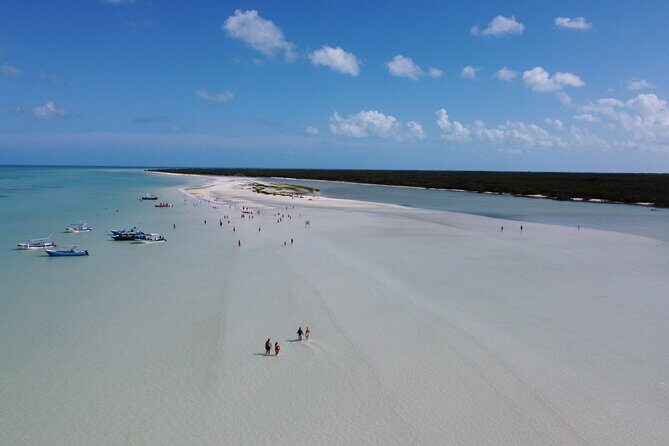 Holbox Boat Tour and Golf Cart - Discovering the Holbox Boat Tour and Golf Cart Experience
