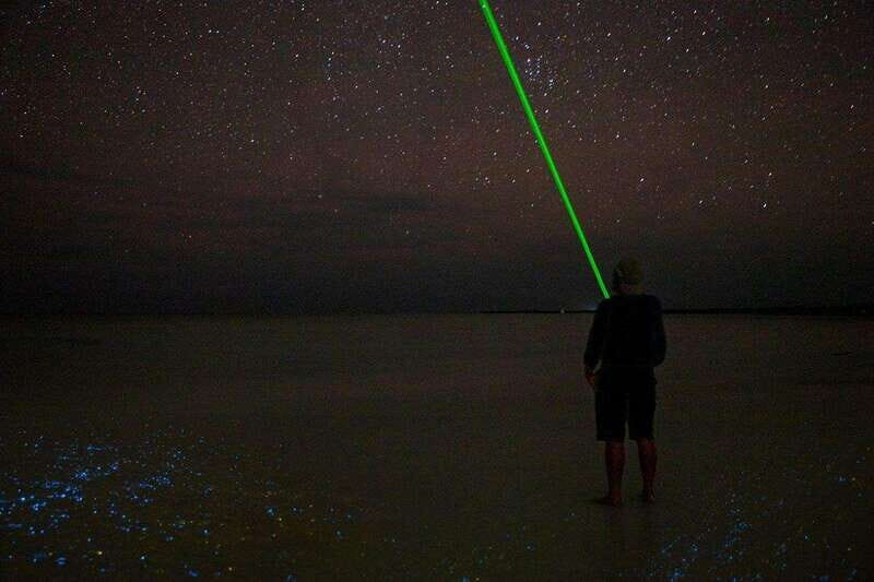 Holbox: Guided Bioluminescence Kayaking Tour - Key Points