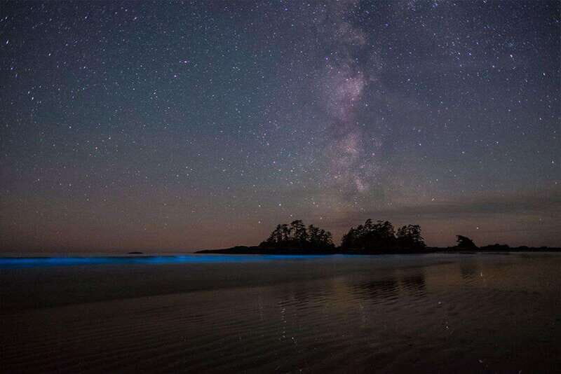 Holbox: Guided Bioluminescence Kayaking Tour - An In-Depth Look at the Bioluminescence Kayaking Experience