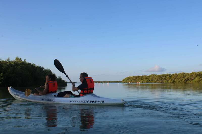 Holbox: Guided Sunrise/Sunset Kayak Tour by Mangrove Reserve - A Closer Look at the Tour Experience