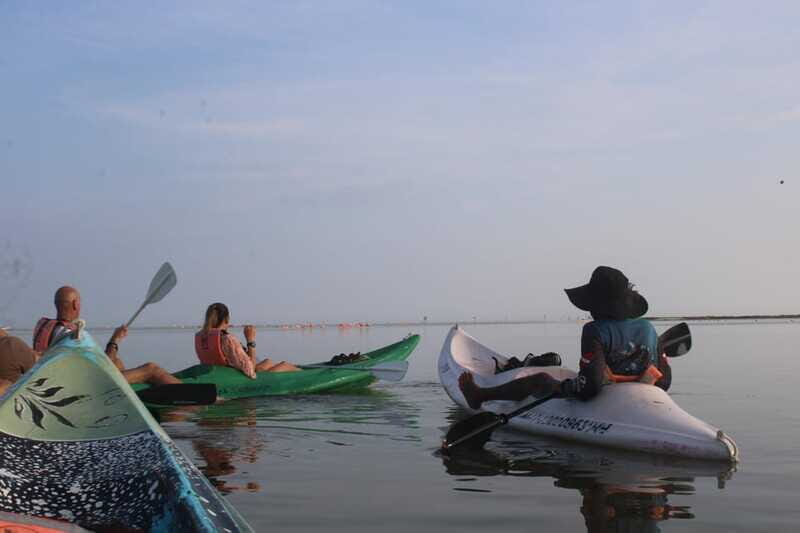 Holbox: Guided Sunrise/Sunset Kayak Tour by Mangrove Reserve - FAQ