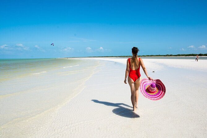 Holbox Island and Cenote Full Day Tour - Key Points