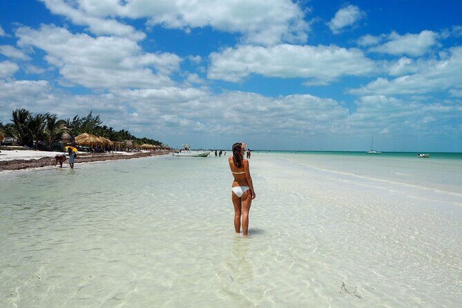 Holbox Island and Cenote Full Day Tour - The Sum Up: Who Will Love This Tour?
