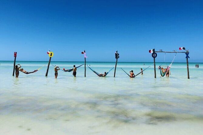 Holbox Island Experience with Lunch - Key Points