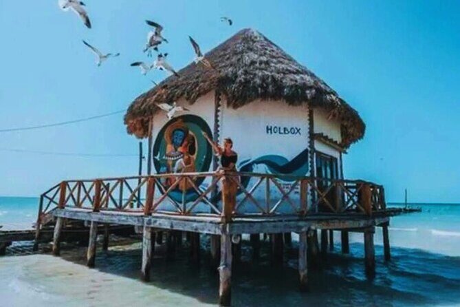 Holbox Island Experience with Lunch - Authentic Experiences and Practical Insights