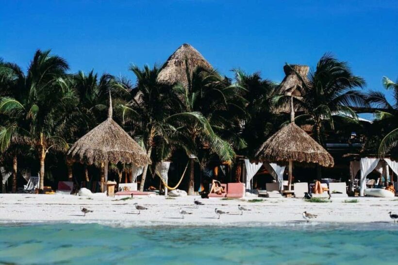 Holbox Island: Feel the Pristine Nature Around You - Who Will Love This Tour?