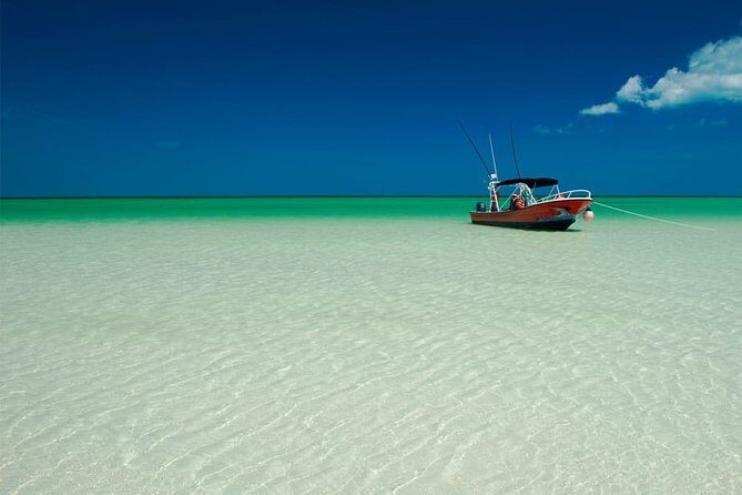 Holbox Island Full Day Trip with Lunch From Playa del Carmen - FAQs