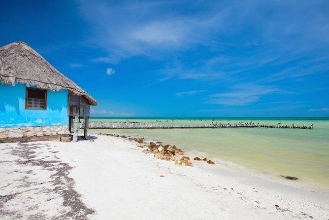 Holbox Island Tour departure from Cancun - An Overview of the Experience