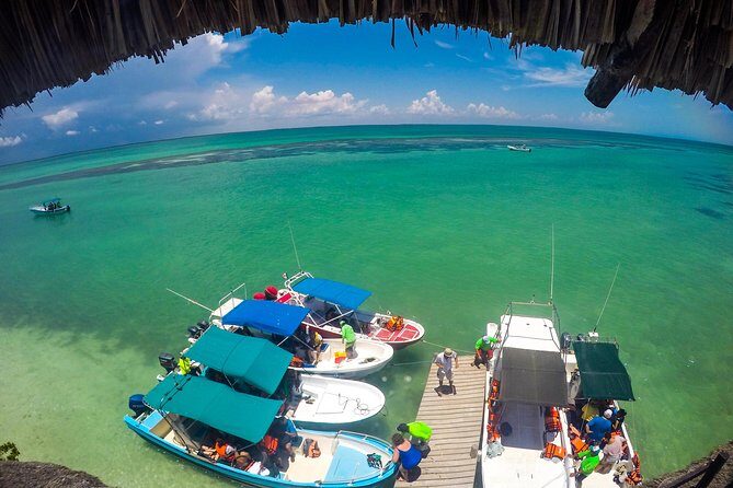 Holbox Island Tour departure from Cancun - The Sum Up