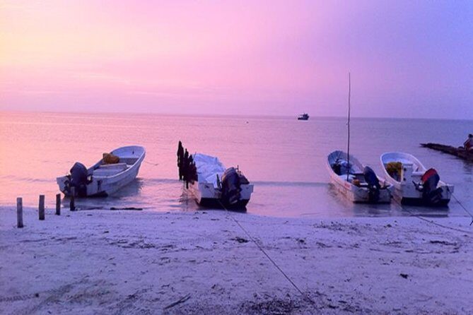 HOLBOX ISLAND TOUR - from Holbox (Private) - Exploring the Holbox Island Tour: A Closer Look