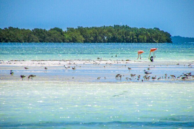 Holbox Island Tour in Mexico with Lunch - Introduction to the Tour