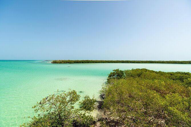 Holbox Island Tour with Pasion Island and Punta Mosquito - What We Love & What to Keep in Mind