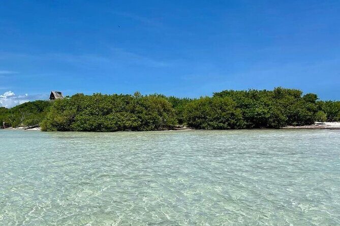 Holbox: Islas Pajaros, Yalahau & Isla de la Pasión with pick up - An Introduction to the Tour Experience