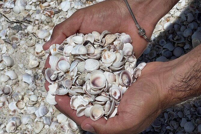Holbox: Islas Pajaros, Yalahau & Isla de la Pasión with pick up - FAQ