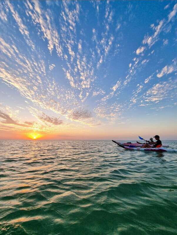 Holbox: Mangrove Sunset Kayak Tour - Key Points