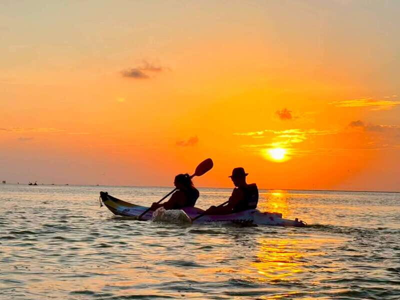 Holbox: Mangrove Sunset Kayak Tour - Discovering the Unique Landscape of Holbox’s Mangroves