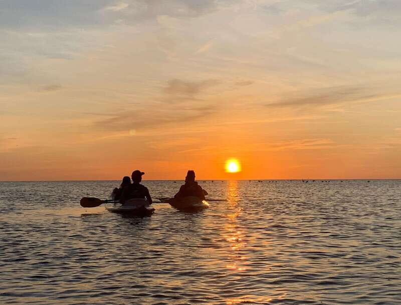Holbox: Mangrove Sunset Kayak Tour - The Experience and Atmosphere