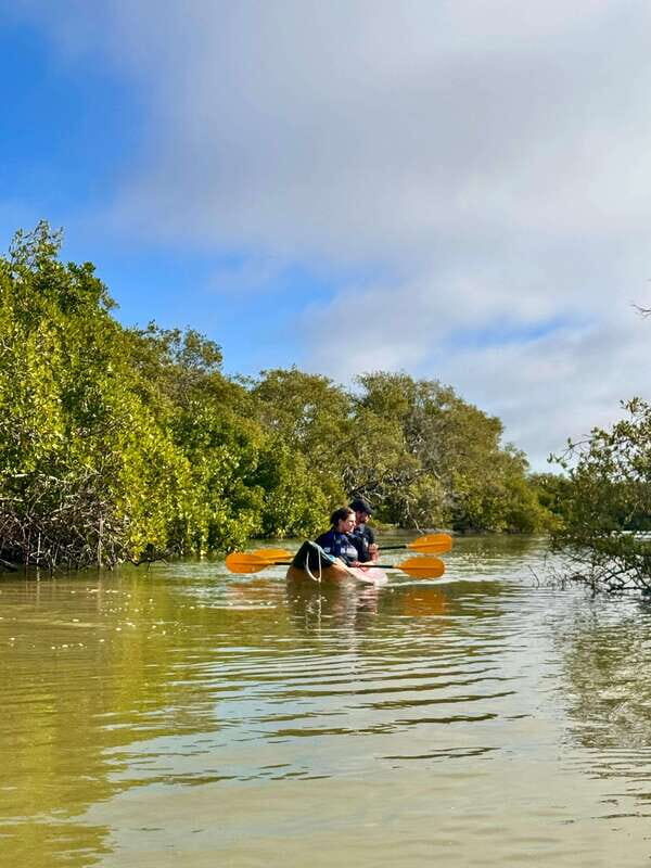 Holbox: Mangrove Sunset Kayak Tour - Who Will Love This Tour?