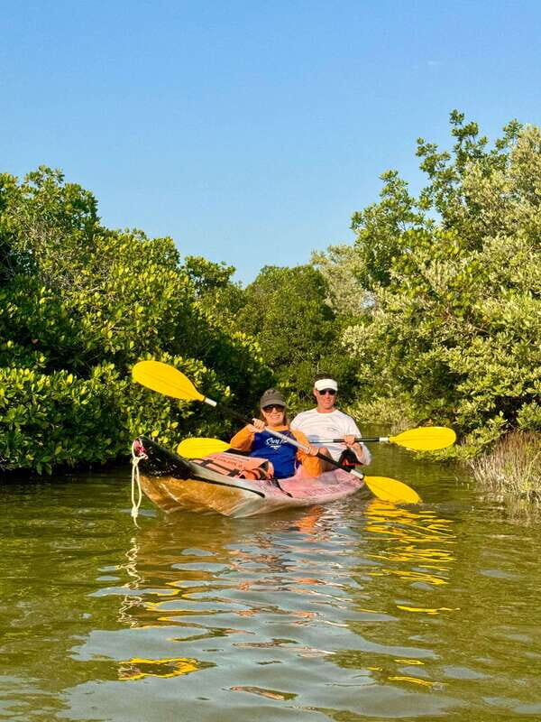 Holbox: Mangrove Sunset Kayak Tour - The Sum Up